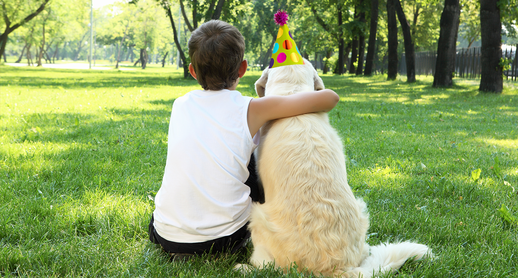 Registreer je vermiste huisdier bij Amivedi | Amivedi