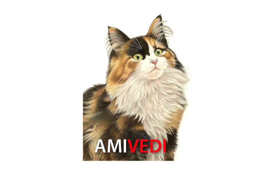 Registreer je vermiste huisdier bij Amivedi | Amivedi